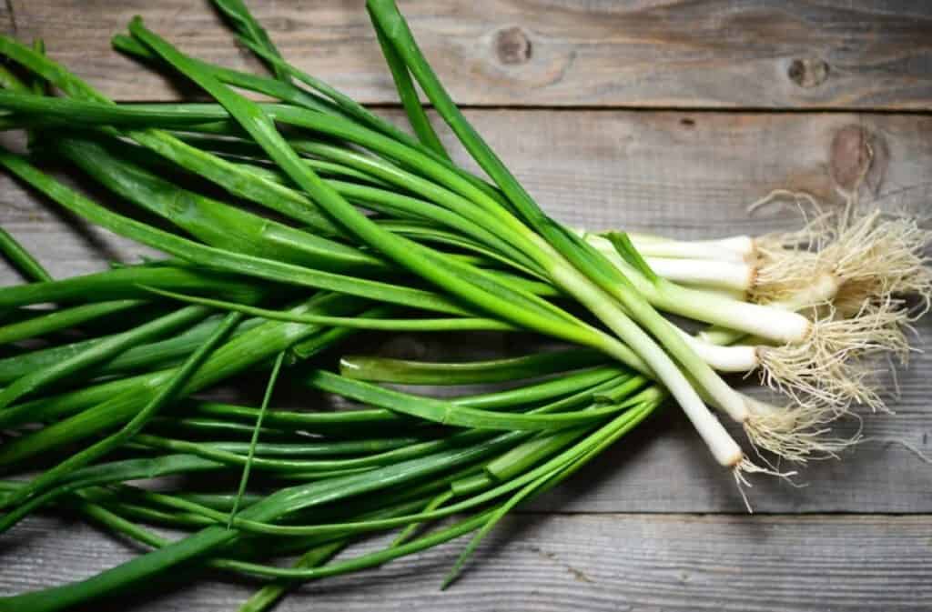 8 Khasiat Daun Bawang Untuk Kesihatan Tubuh