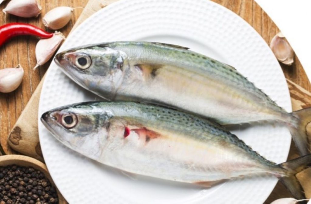 Ikan Kembung : Kandungan Nutrisi dan Manfaat Untuk Kesihatan Ikan Kembung : Kandungan Nutrisi dan Manfaat Untuk Kesihatan