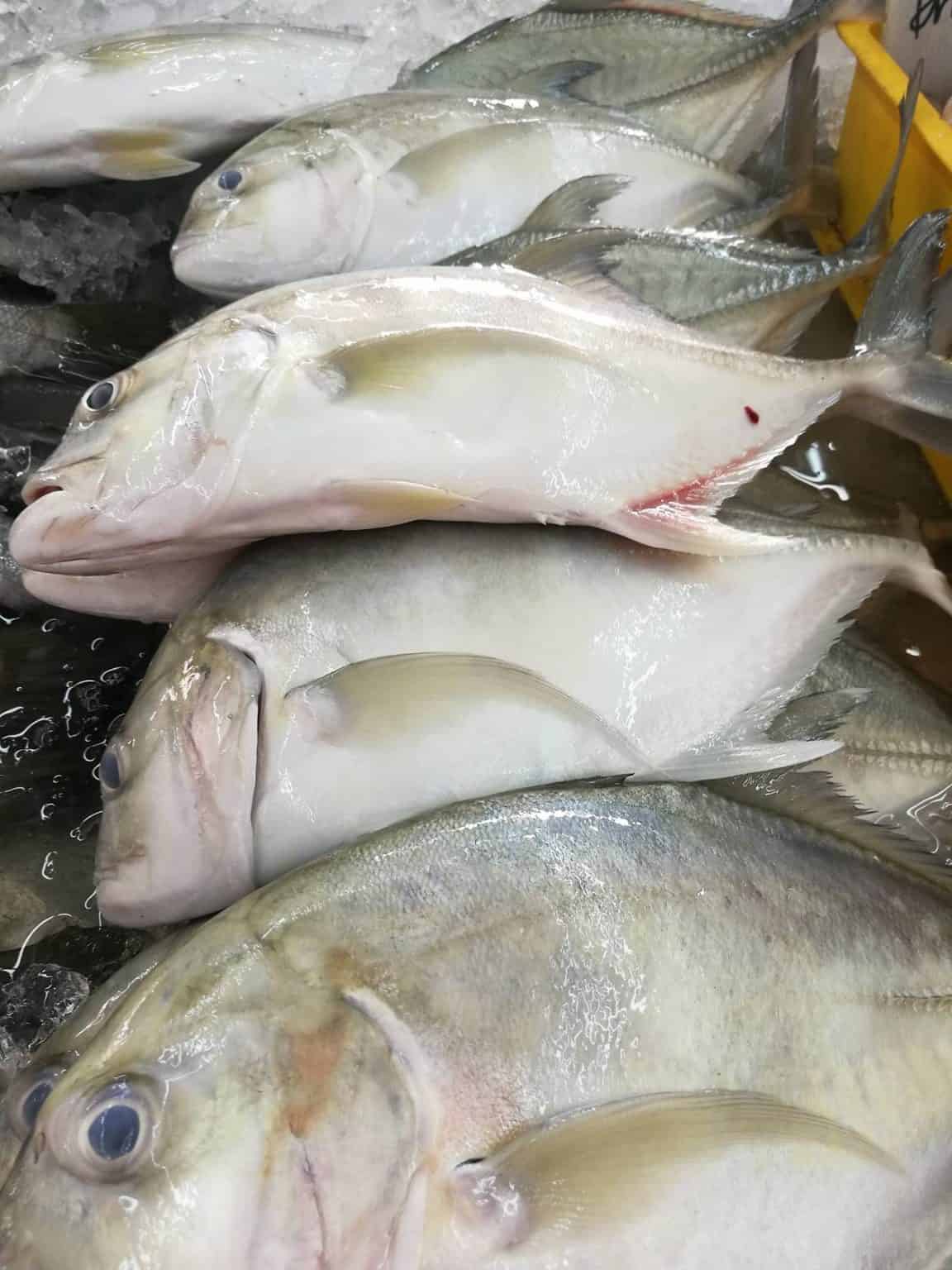 Resepi Ikan Nyok Nyok Yang Wajib Dicuba