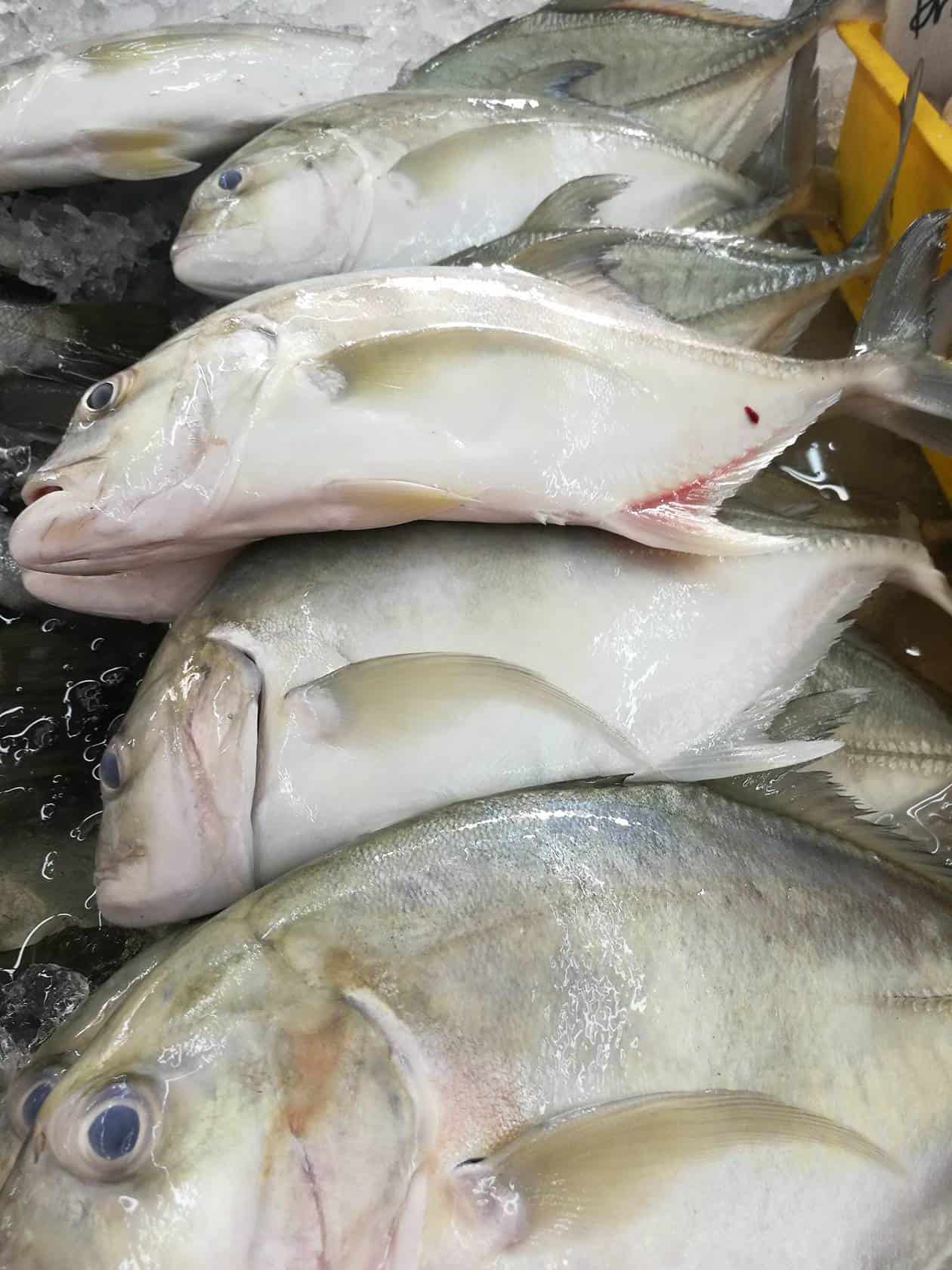 Resepi Ikan Nyok Nyok Yang Wajib Dicuba