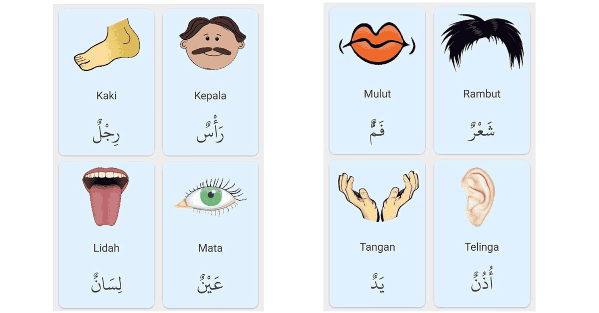 Senarai Anggota Badan Dalam Bahasa Arab