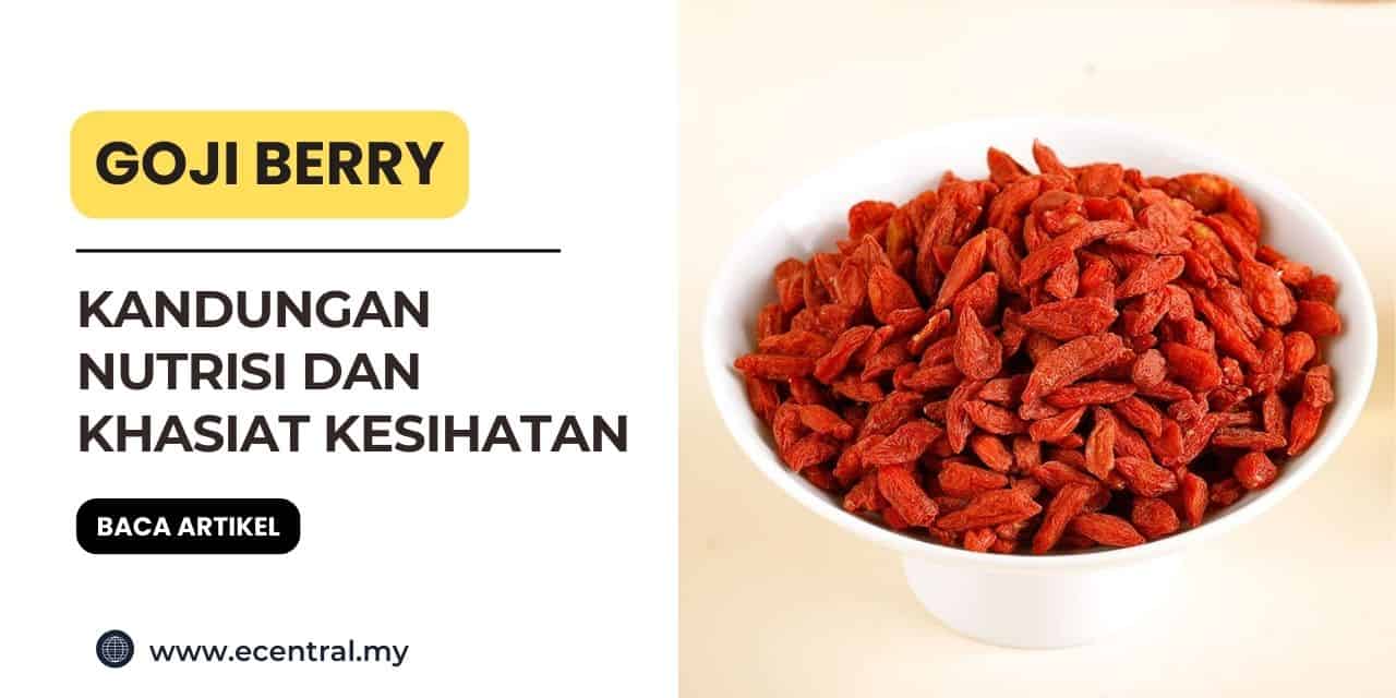 Goji Berry : 15 Khasiat untuk Kesihatan, Kecantikan & Kecergasan